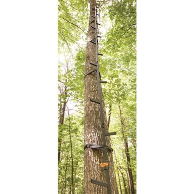 Climbing Sticks -Tree Climbing Equipment & Tree Steps | Sportsman's Guide