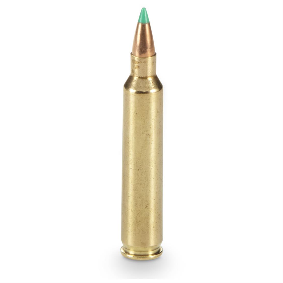 Sellier Bellot 204 Ruger Polymer Tip 32 Grain 20 Rounds 424073 Sellier Bellot 204 Ruger Polymer Tip 32 Grain 20 Rounds 424073
