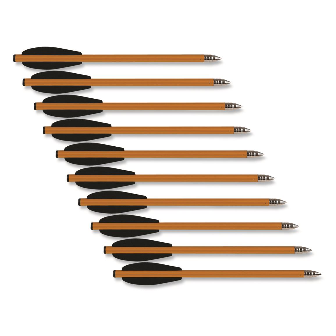 Steambow AR-6 Training Bolts, 10 Pack - 719631, Crossbow Accessories at ...