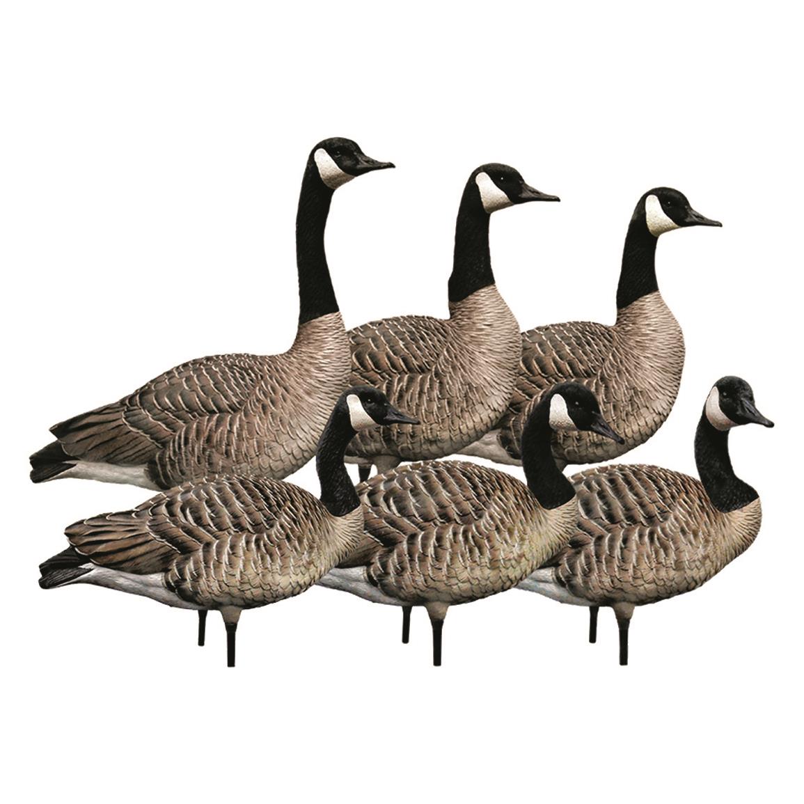 Avian-X Honker Sentry-Walker Goose Decoy Pack | Sportsman's Guide