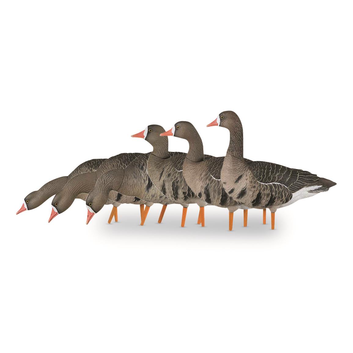Avian-X AXP Specklebelly Fusion Pack Full Body Decoys, 6 Pack - 728467 ...