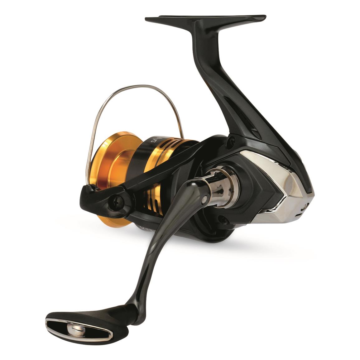 Daiwa Regal LT Spinning Reel, Size 3000, 6.2:1 Gear Ratio - 739943 ...