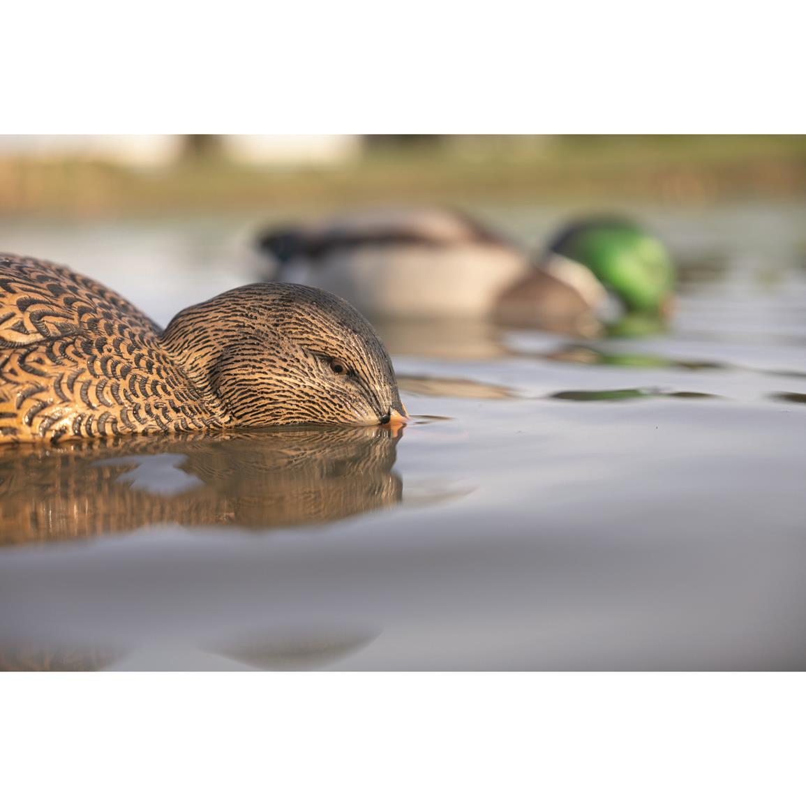 Avian-X Powerflight Hen Teal Spinning Wing Decoy - 728459, Duck Decoys ...
