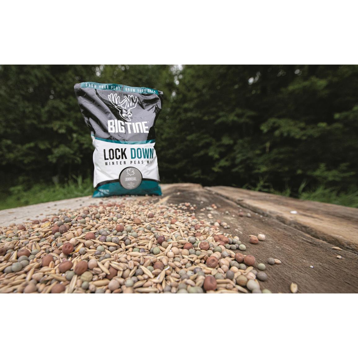 Whitetail Institute Imperial No-Plow, 9-lb. Bag - 141147, Food Plot ...
