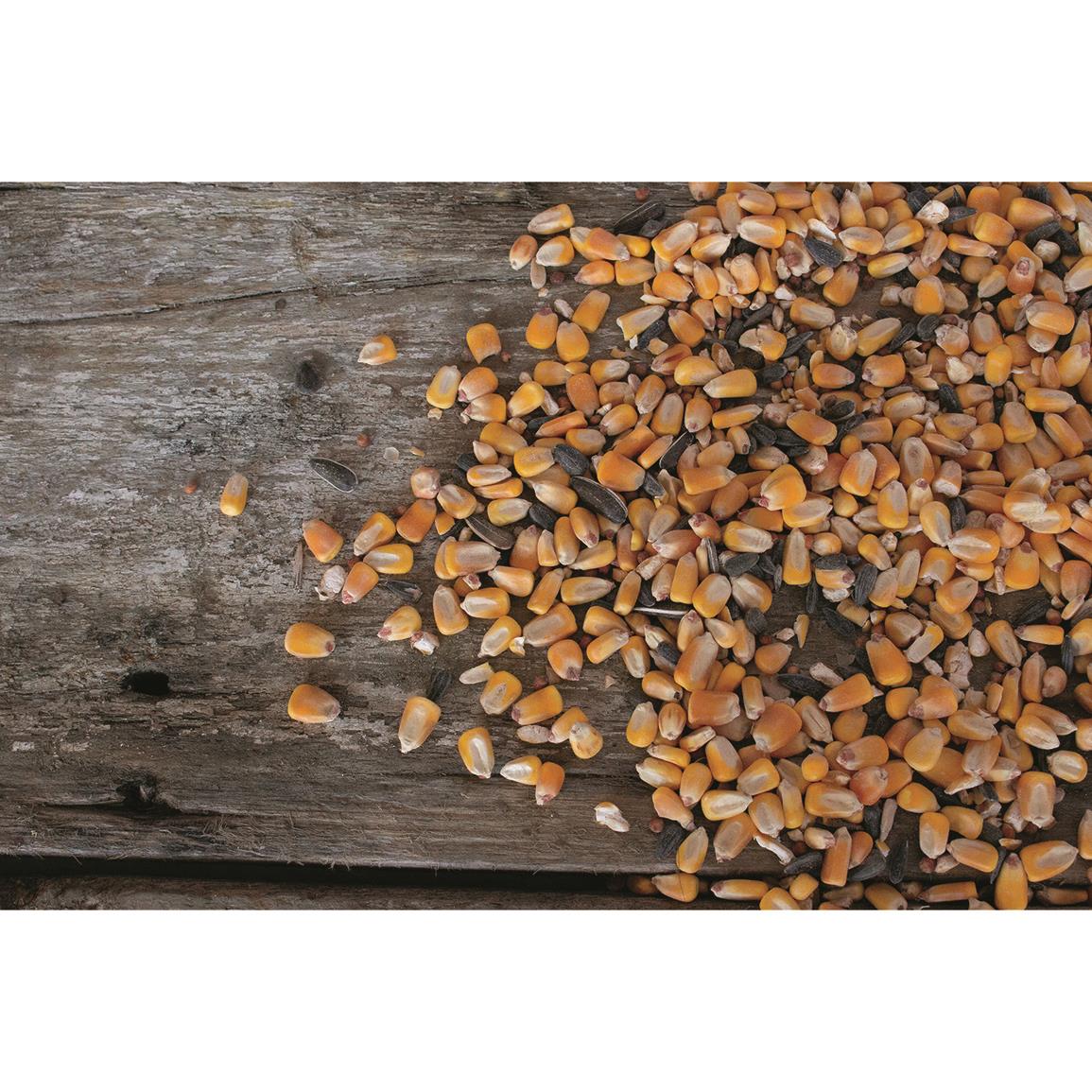 Big Tine Fortified Deer Blend, Pear - 740279, Mineral Attractants ...