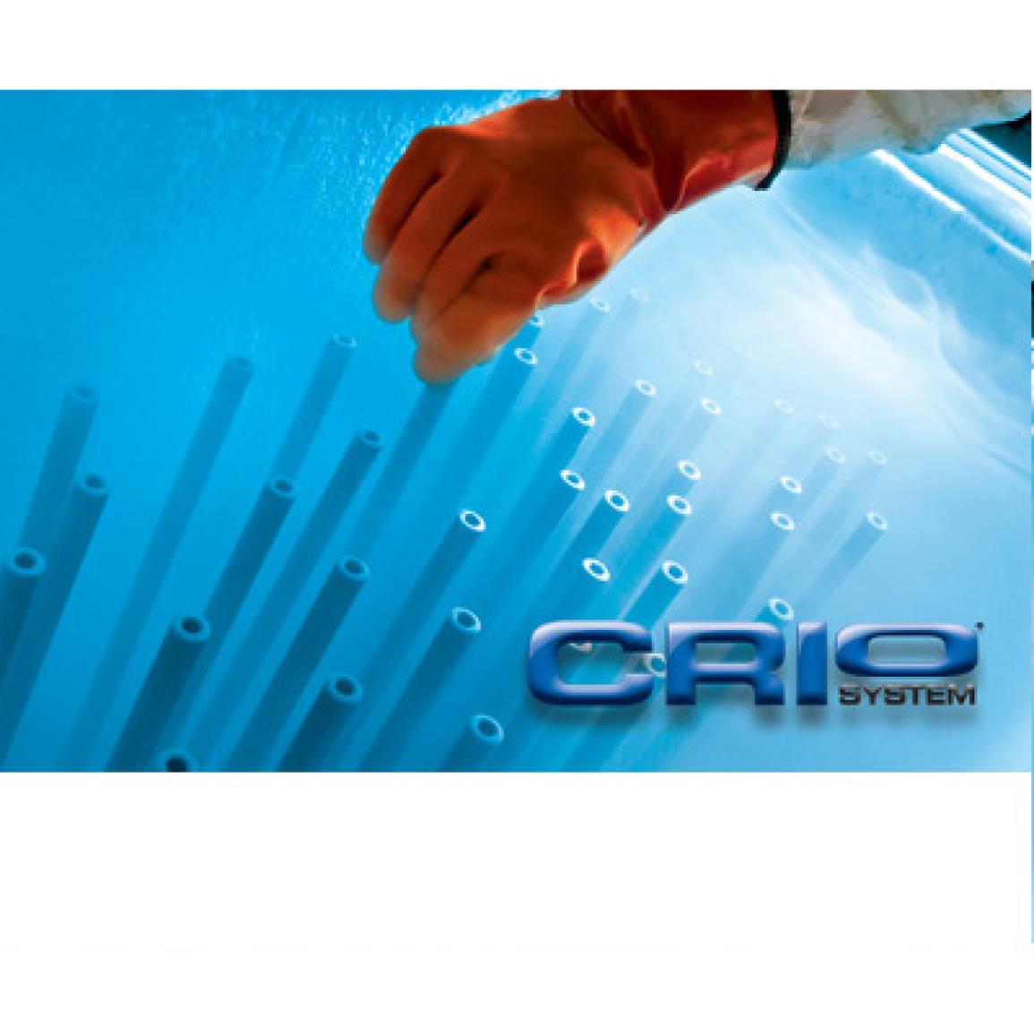 Benelli Montefeltro, Semi-Automatic, 12 Gauge, 26” Barrel, Satin Walnut ...