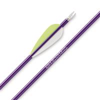 Guide Gear Trophy Hunter Pro Arrows by Victory Archery, 12 Pack ...