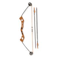 Bear Archery Valiant Youth Compound Bow Set, 16.5-lb. Draw Weight ...