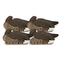 Avery GHG Pro-Grade Specklebelly Goose Floater Sleeper Decoys, 4 Pack ...