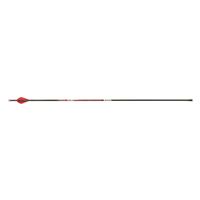 Victory VAP Sport Fletched Arrows, 6 Pack | Sportsman's Guide