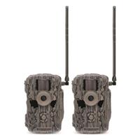 Stealth Cam Fusion MAX 36MP Cellular Trail Camera, 2 Pack | Sportsman's ...