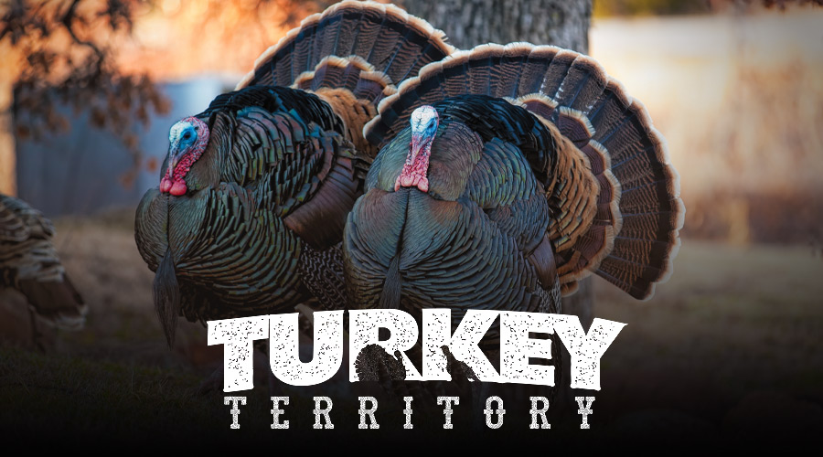 Hunting Gear | Hunting Supplies | Camo Clothing | Sportsman's Guide