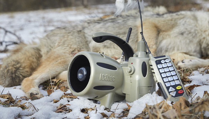 Mastering the Set: Coyote Calling Setups Across the United States ...