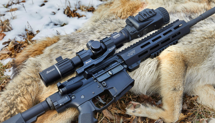 The Best Rifle Calibers and Types of Rifles for Hunting Coyotes ...