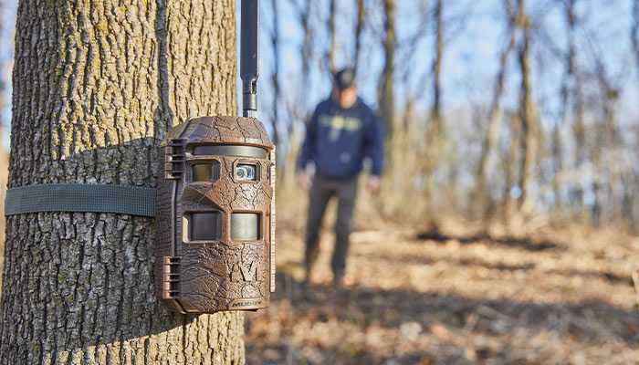 6 Trail Camera Tips for Hunting Public Land | Sportsman's Guide