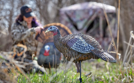 Turkey Territory | Turkey Hunting Gear | Sportsman's Guide