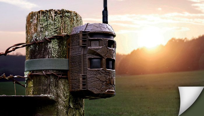 Sportsman's Guide - Outdoor Gear, Military Surplus, Survival Gear and more