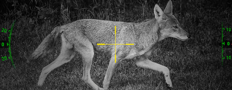 Scopes, Hunting Optics, and Gun Sights | Sportsman's Guide