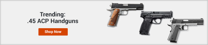Firearms & Guns for Sale - Handguns, Pistols, Rifles, Shotguns ...