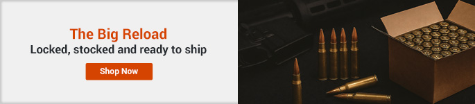 Firearms & Guns for Sale - Handguns, Pistols, Rifles, Shotguns ...