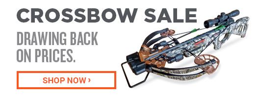 Archery Supplies | Archery Equipment | Sportsman's Guide