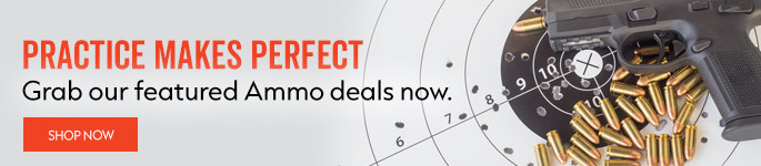 Firearms & Guns for Sale - Handguns, Pistols, Rifles, Shotguns ...
