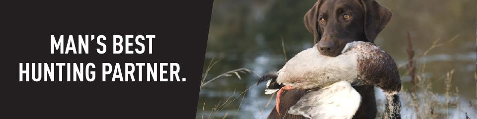 Hunting Dog Supplies | Training Equipment, Kennels & Collars ...