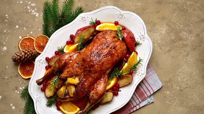 Christmas Goose | Sportsman's Guide