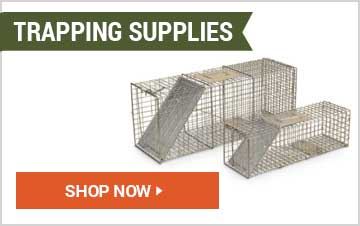 Predator & Varmint Hunting Gear | Sportsman's Guide