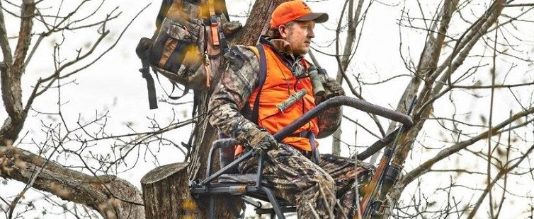 Tree Stand Placement Tips | Sportsman's Guide