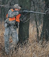 The Art Of Still-Hunting | Sportsman's Guide