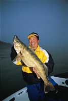 Post-Spawn Walleyes | Sportsman's Guide