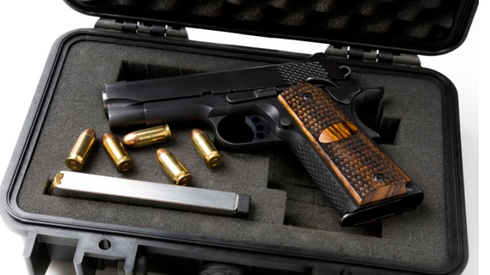 Best Gun Safes of 2024: Top Picks for Secure Firearm Storage ...