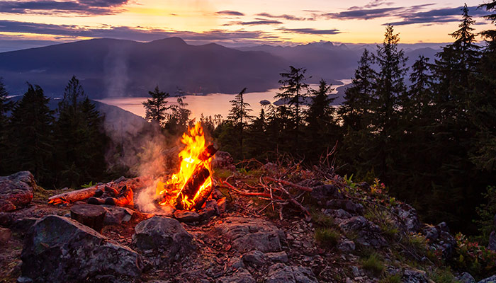 Camping 101: Light My Fire Matches And Beyond | Sportsman's Guide