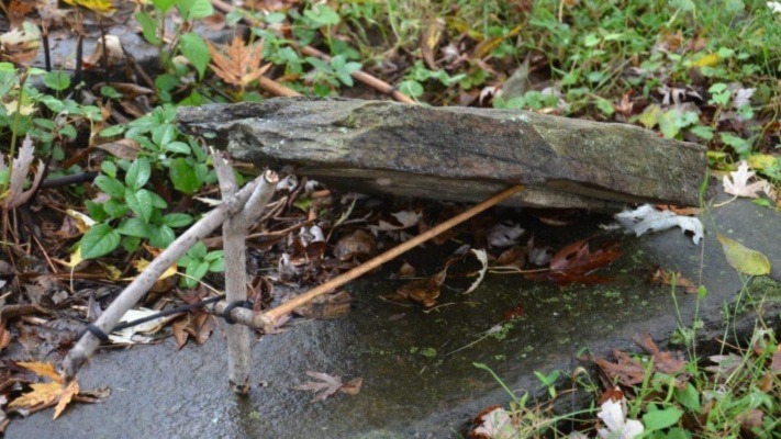 Survival Skills: Make A Deadfall Trap | Sportsman's Guide