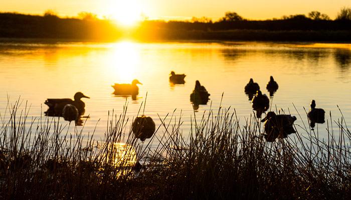 Decoy Spread Strategies | Sportsman's Guide