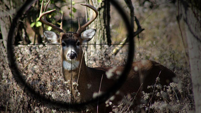 Clancy's Dirty Dozen Deer Hunting Myths | Sportsman's Guide