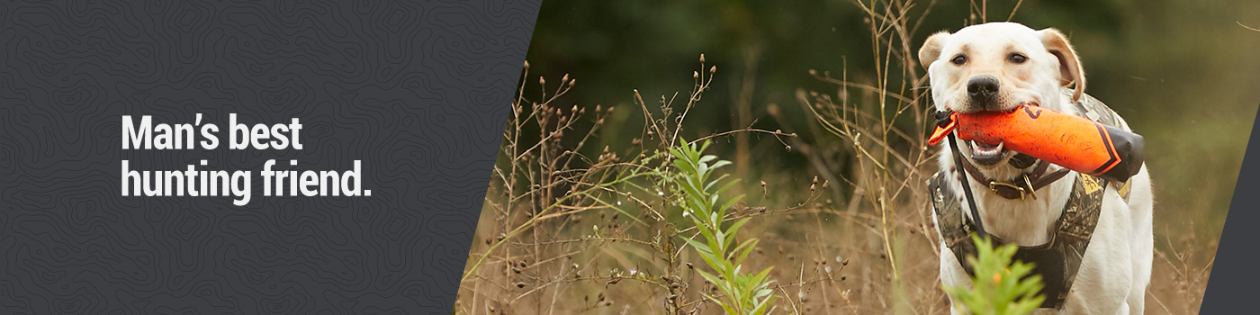 Hunting Dog Supplies | Training Equipment, Kennels & Collars ...