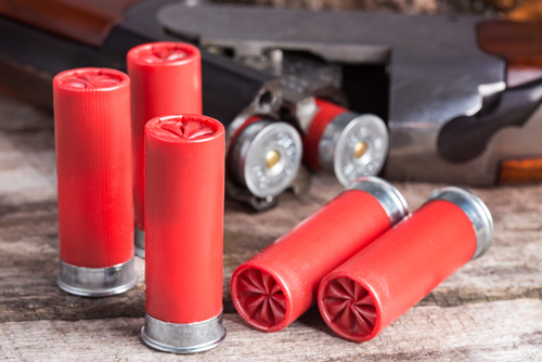 High Brass vs Low Brass Shotgun Shells: Does Height Really Matter ...