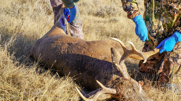 How to Track and Field-Dress Game: A Step-by-Step Guide | Sportsman's Guide